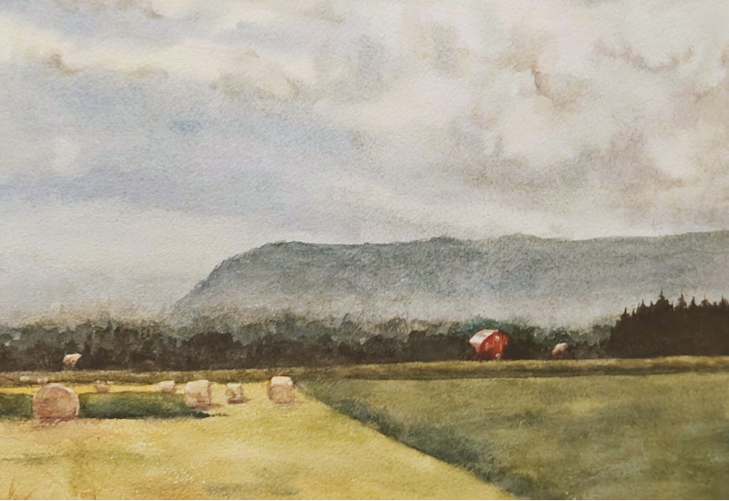 Luminous Watercolours: Anne Rogers | The Blue Mountains Public Library